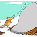 PORTFOLIO | Studio Flatopolis