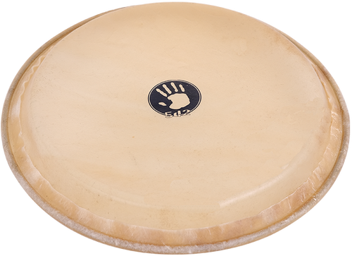 5d2 RAWHIDE CONGA HEAD 11" | Tropical Music | Puerto Rico