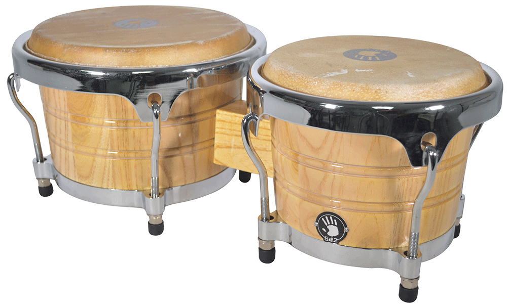 Bongos | Tropical Music | Puerto Rico