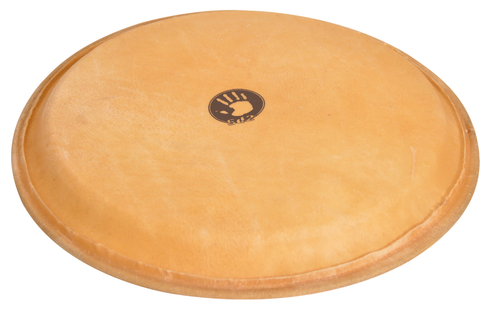 Congaheads | Tropical Music | Puerto Rico