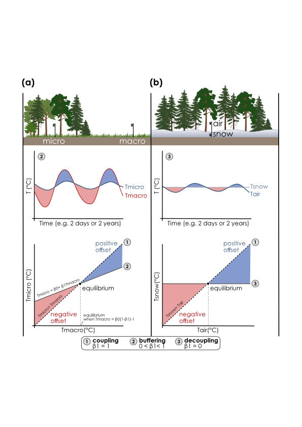 New forest microclimate review out!