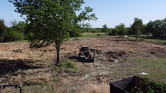 Home | 1st Priority Tree Sevice, LLC: Trimming, Removals, Stump Ginding