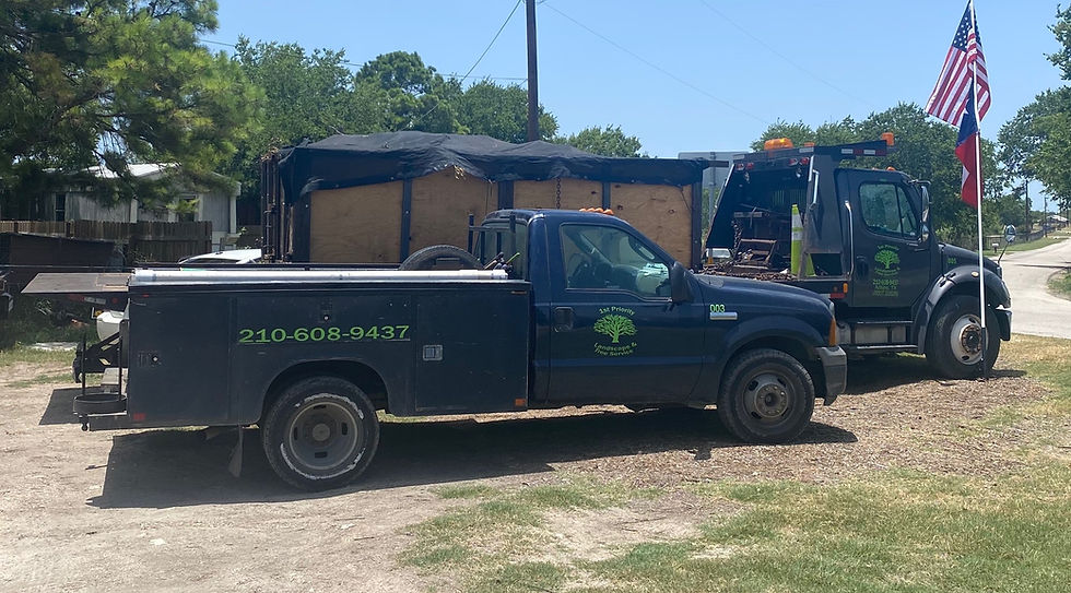 Home | 1st Priority Tree Sevice, LLC: Trimming, Removals, Stump Ginding