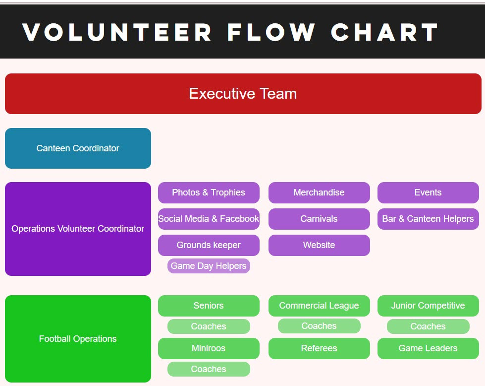 Volunteer Roles & Responsibilites | Caboolture Sports FC