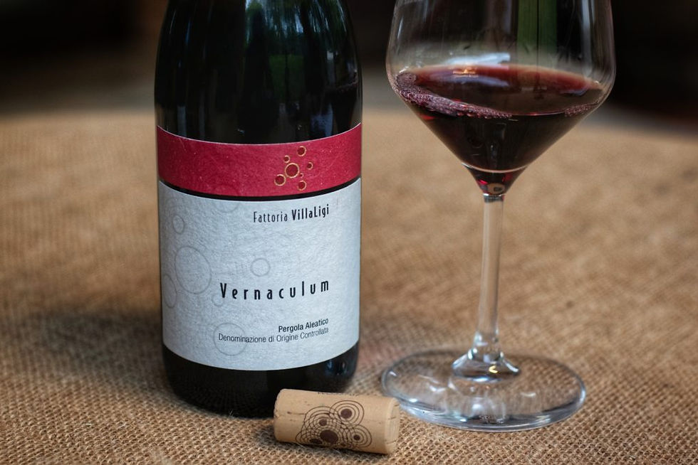 A Very Particular Pergola