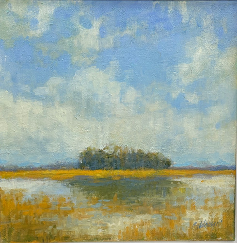 Marsh Patterns | Donnabaldassari