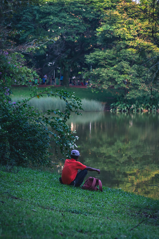 STREETS OF SINGAPORE | Portfolio