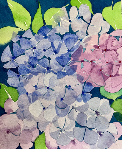Hydrangea Haze | Jamie Shouse Art
