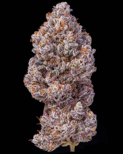 Khalifa Mints (Compound Genetics) | nineleafclover