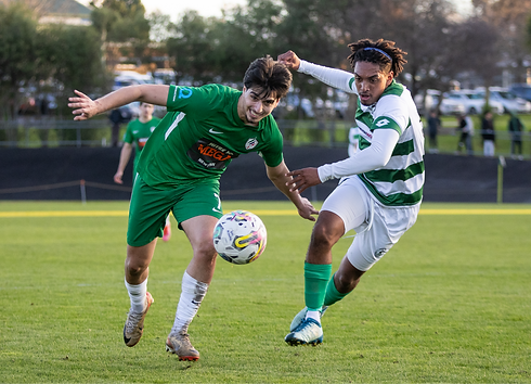 Bay Olympic Football Club | Auckland