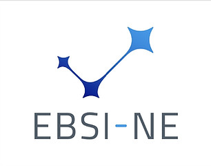 EU Funded Projects | Access Advisors