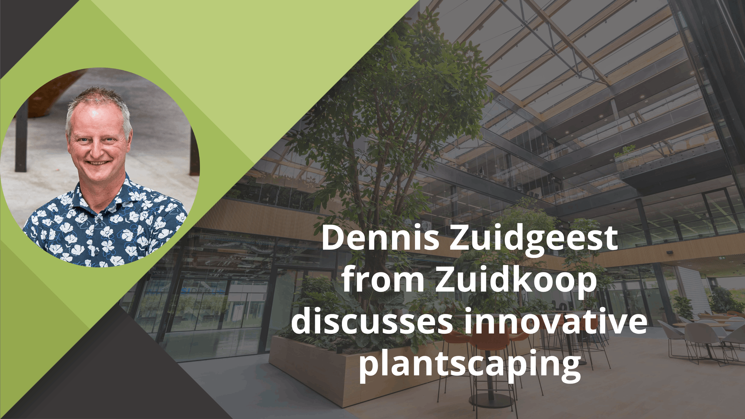Dennis Zuidgeest from Zuidkoop discusses innovative plantscaping