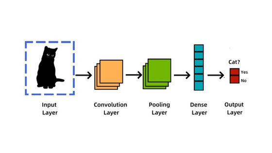 A Comprehensive Guide: What are Convolutional Neural Networks | BasicAI ...