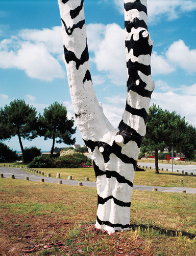 Print Shop |Zebra Tree
