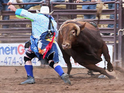 Payson Pro Rodeo | Day Sheet | Payson, Arizona