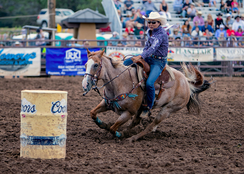 Payson Pro Rodeo | World's Oldest | Gary Hardt