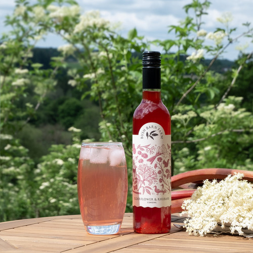 Elderflower & Rhubarb Cordial | Bush Barn Farm