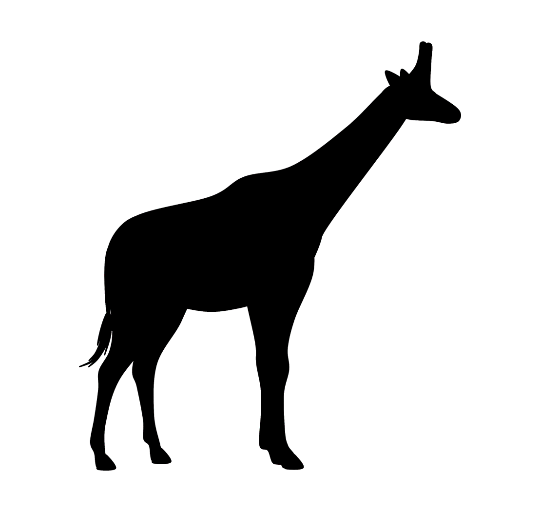 Giraffidae