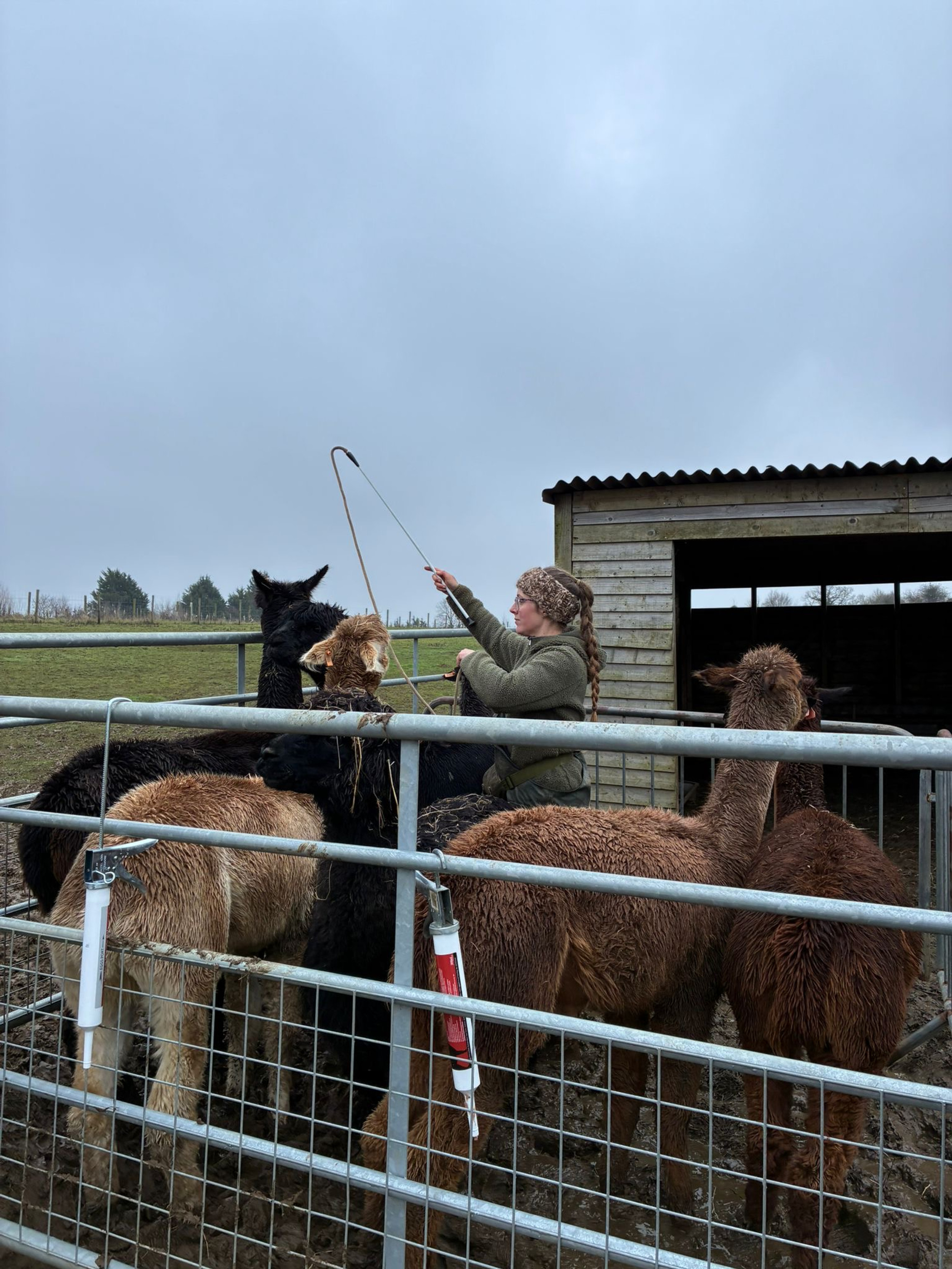 Building trust with the animals we're working with
