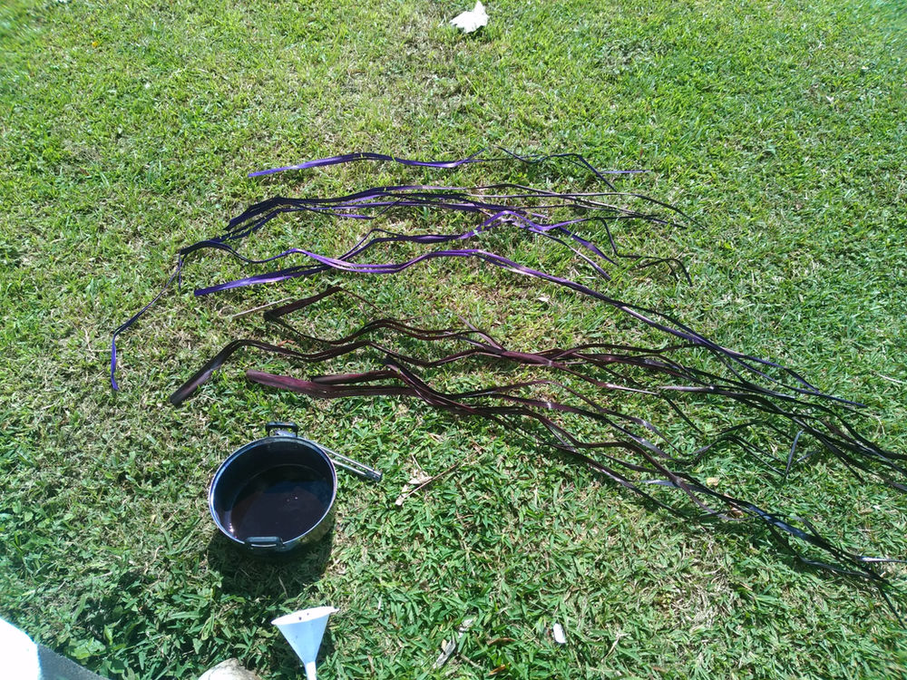 Making a Pandanus Leaf Mat - Part 1
