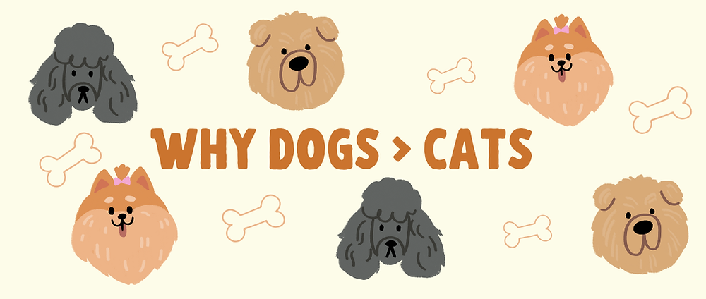 Why Dogs > Cats