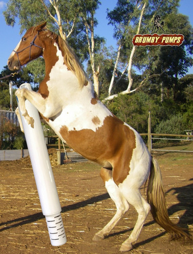 Brumby XS1 pump | Brumbypumps