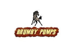 Brumby Pumps | submersible well bore pumps