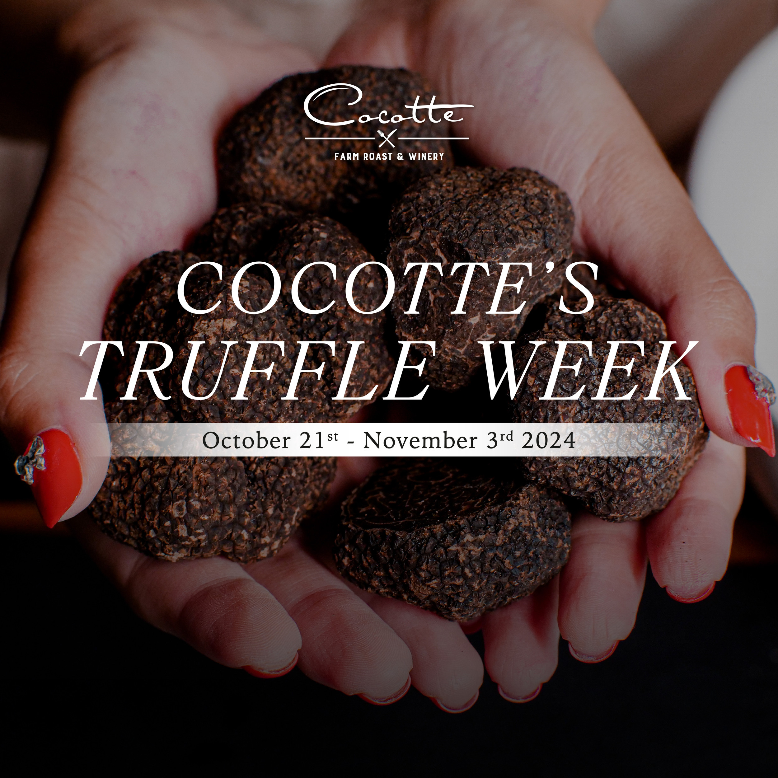 Truffle Week 2024 at Cocotte Bangkok: Celebrate the Season of Truffles!