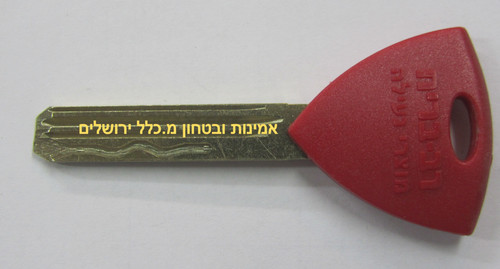 Duplicate Multi-bolt Snake Keys | Jerusalem |AMINUT VE BITACHON | כספות ...