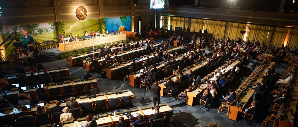 6th session of the United Nations Environment Assembly: Looking back