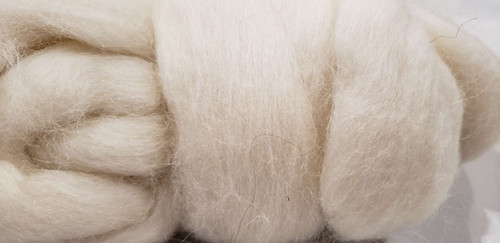 Texel Natural color roving | Wildwool Farm