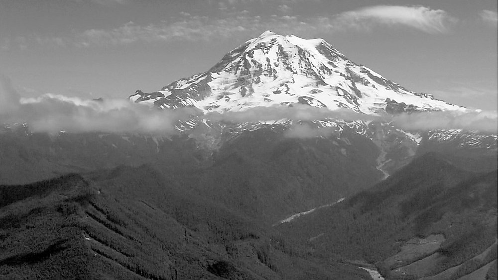 Leschi Artist’s Map is the COVID Public Art Project You’ve Been Waiting For