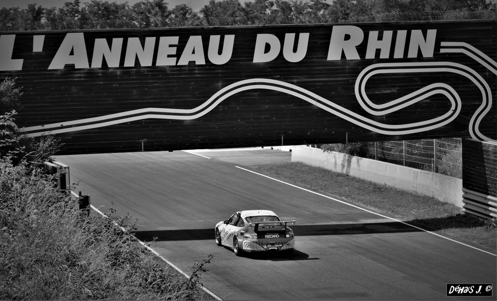 l'Anneau du Rhin : résumé