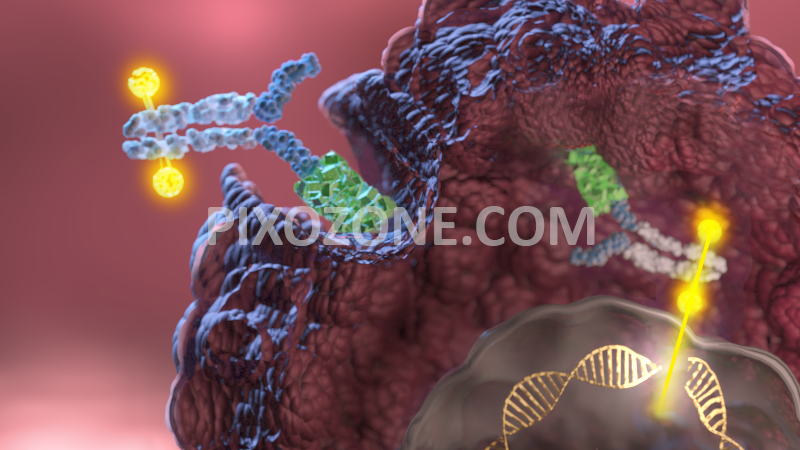 3D Medical Animation Pricing Guide 2025 | Global Cost & ROI