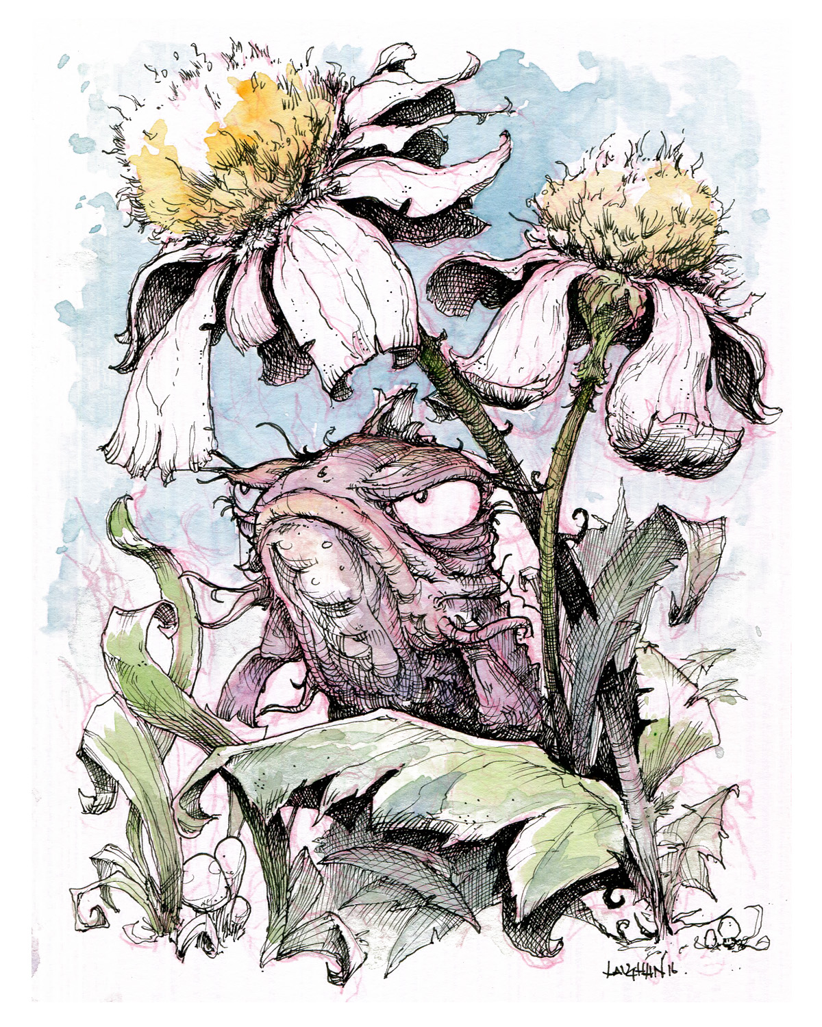 Caleb Laughlin Eugene Oregon Illustration