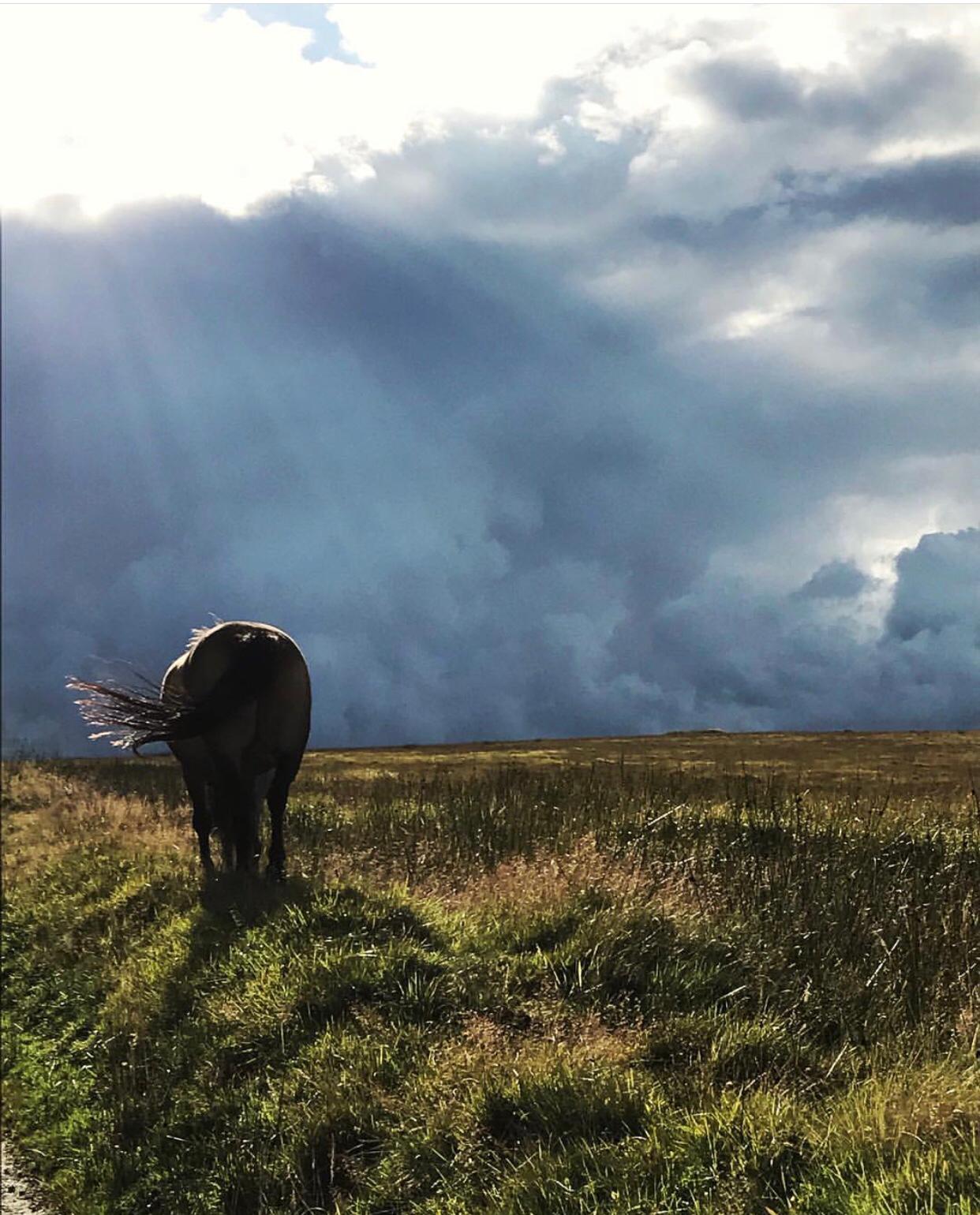 OUTDOORS | Tarr Farm Inn