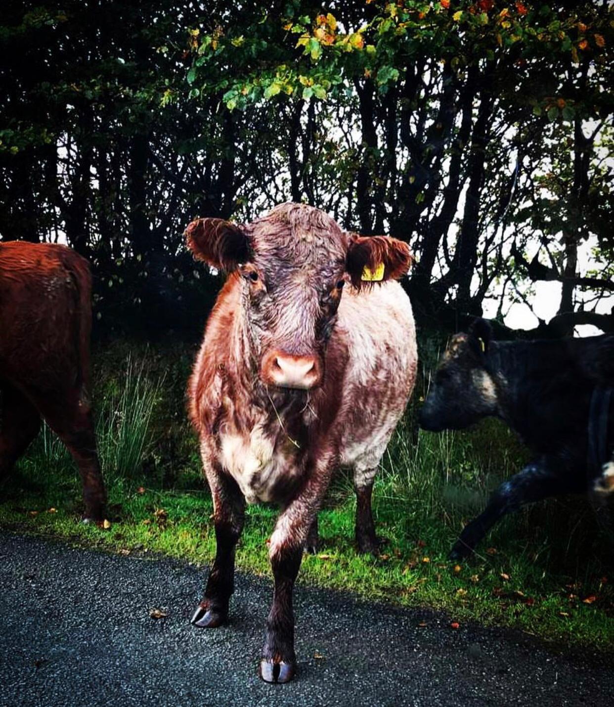 OUTDOORS | Tarr Farm Inn