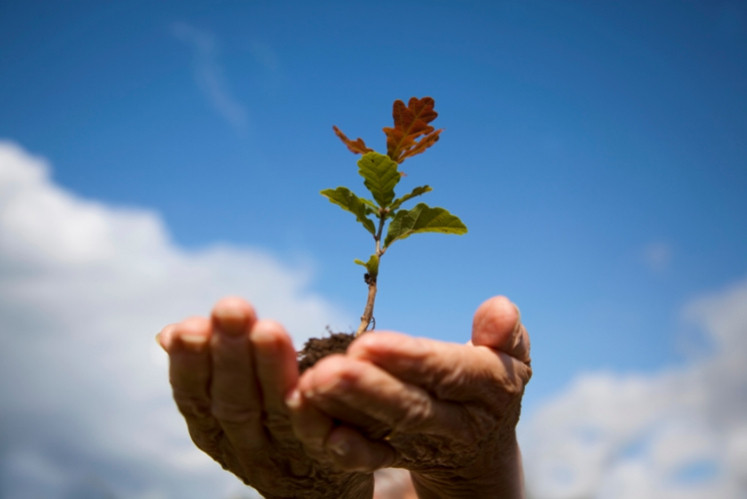 Plant a Tree - Grow a School | West Cork Sudbury