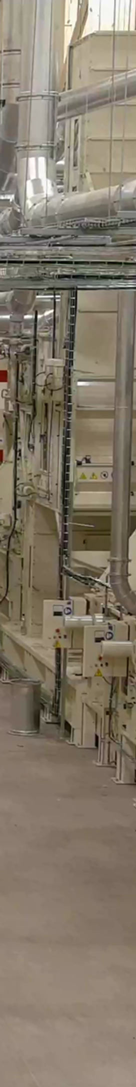 Panda Biotech | Industrial Hemp Fiber Processing