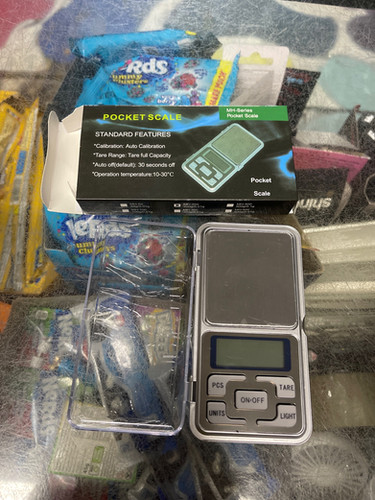 Scales and Saddies | Pro Art Sydney