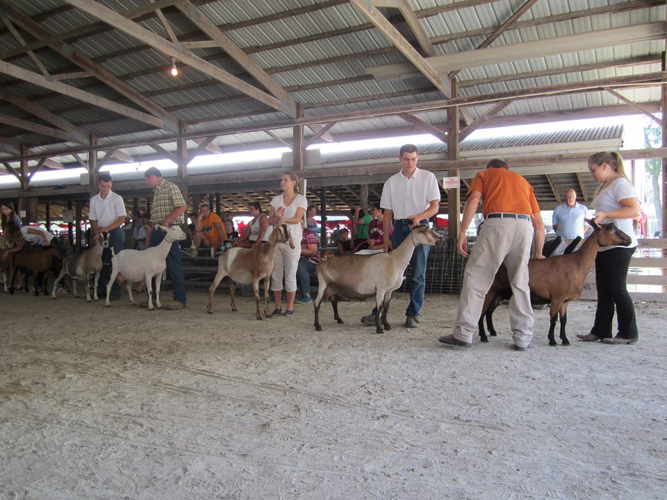 Raw | Reed Farm Nubians | United States