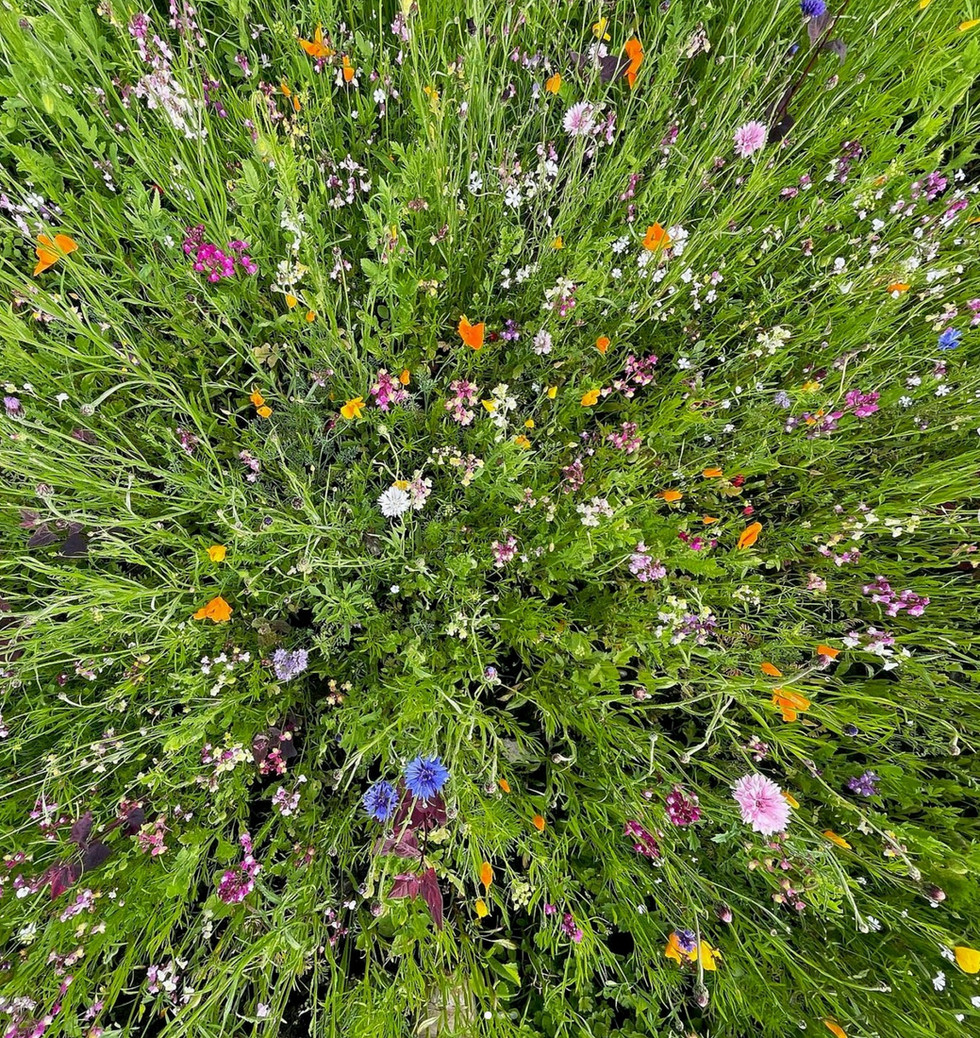Projects | Berry Landscapes Ltd.