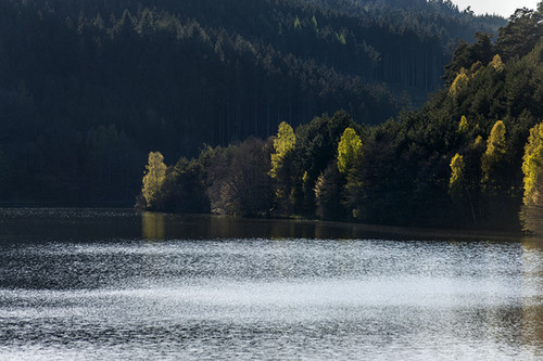 Marbach-Stausee | Frühling | MY ODENWALD