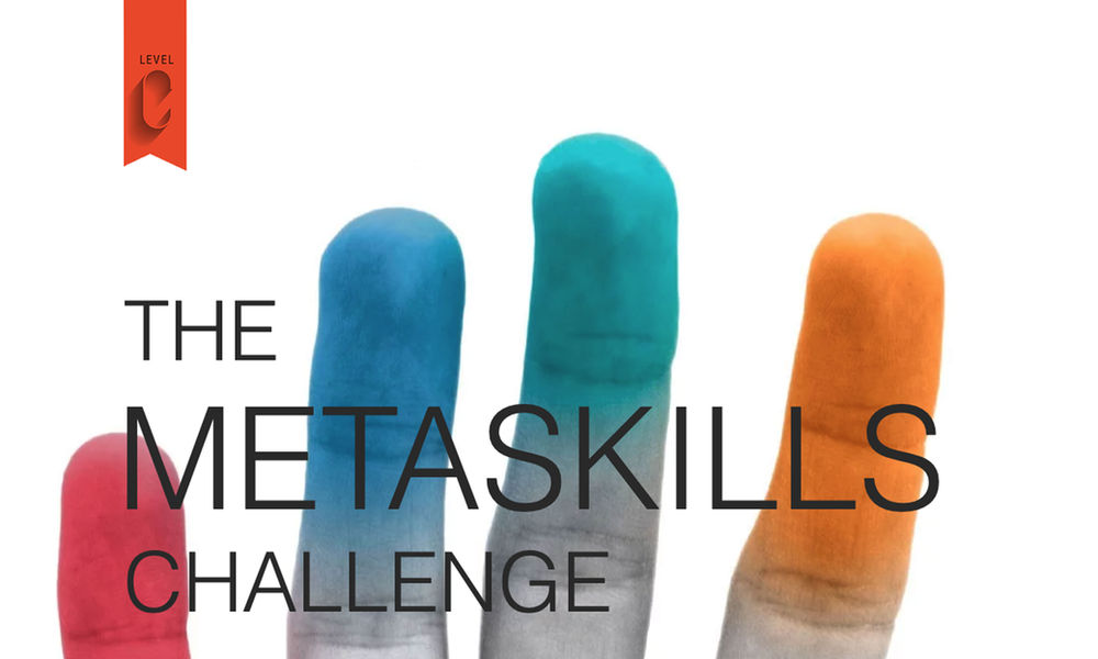 Review of Marty Neumeier’s METASKILLS challenge