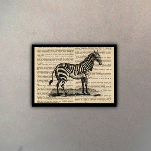 Cebra Fondo Vintage | Cuadros Vintage