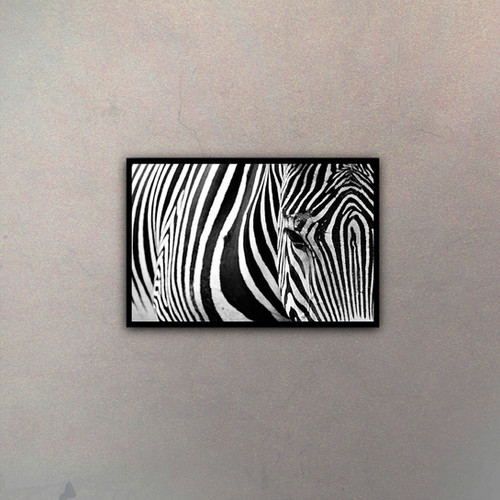 Cebra | Cuadros Vintage