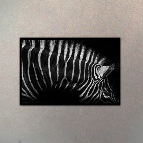 Cebra V | Cuadros Vintage