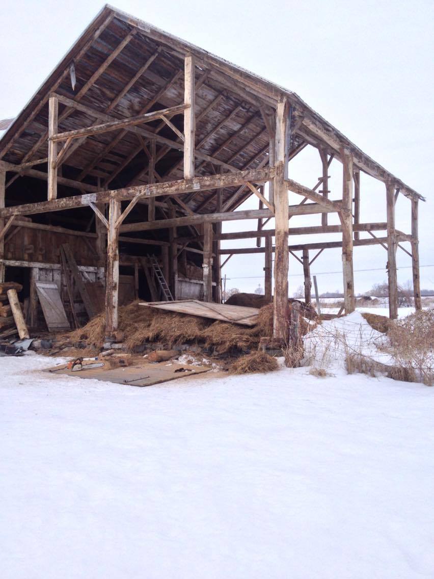 Barn Owl Tree Services