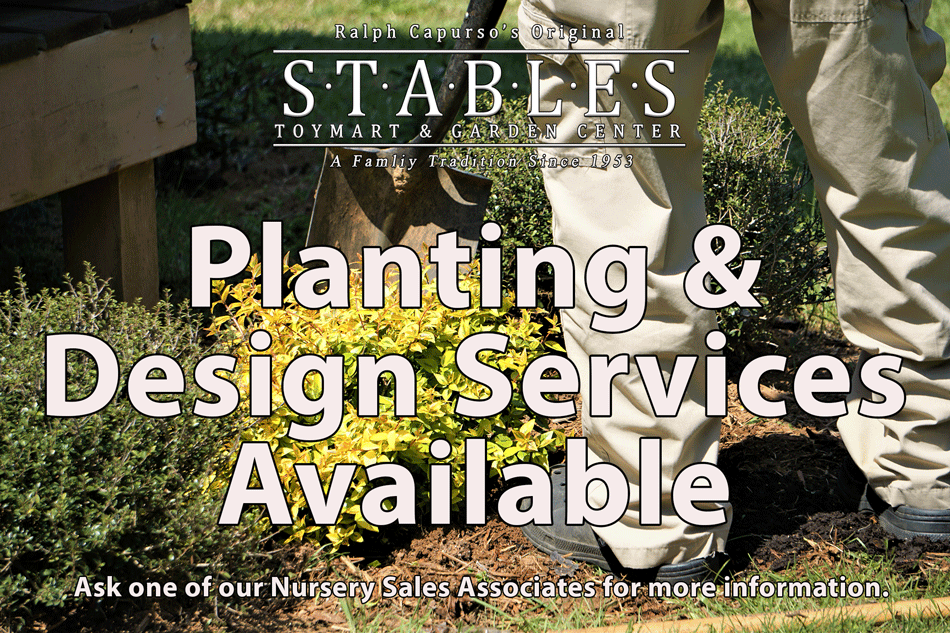 Stables Garden Center l North Babylon, NY