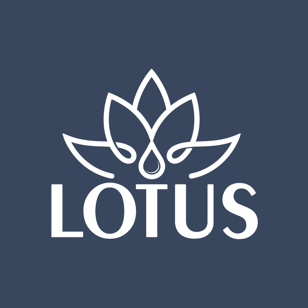 Lotus Consulting | Coaching | Marketing | Accounting | Acquisition